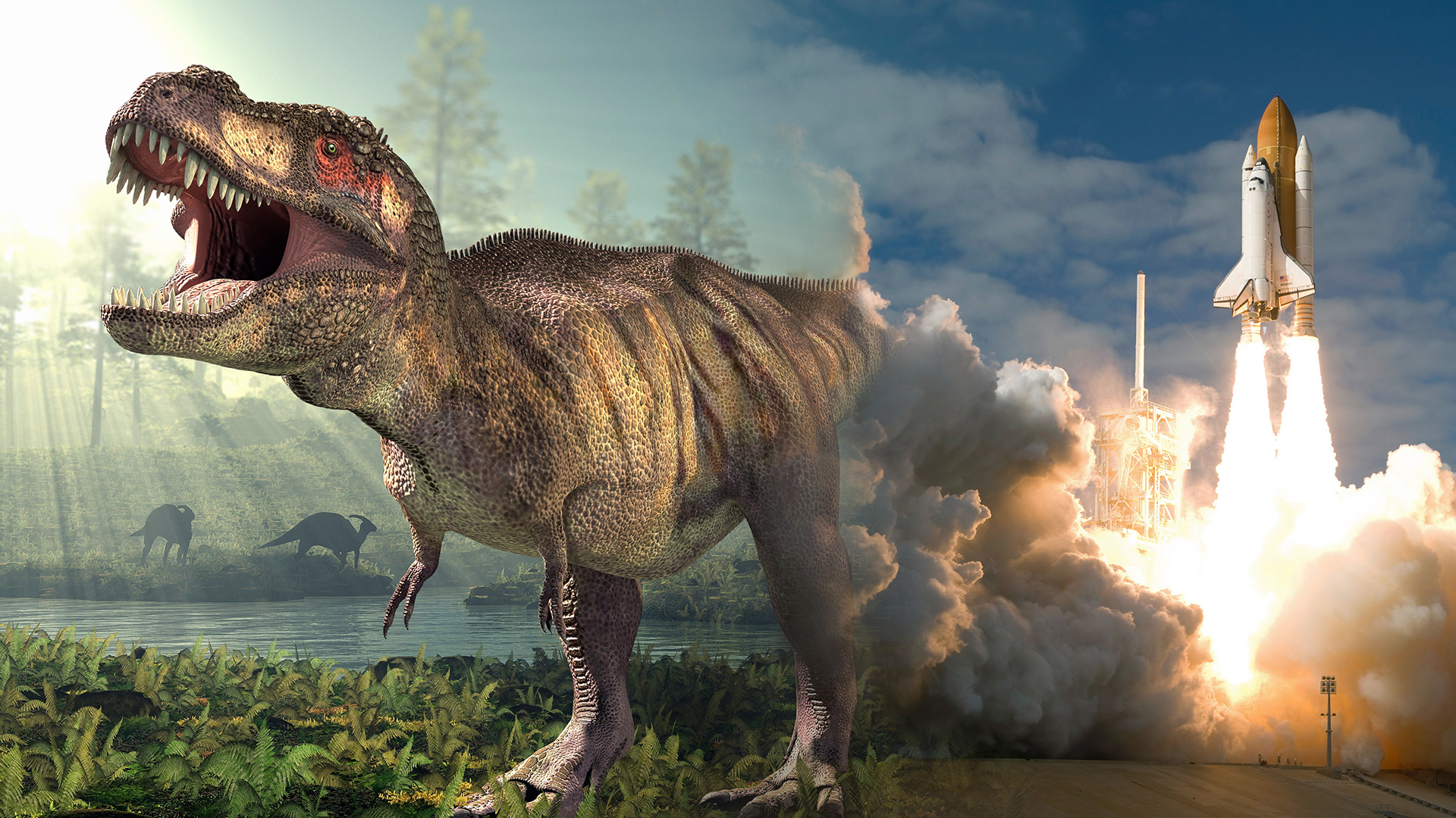 Kinderspiele: Online und kostenlos spielen! | toggo.de